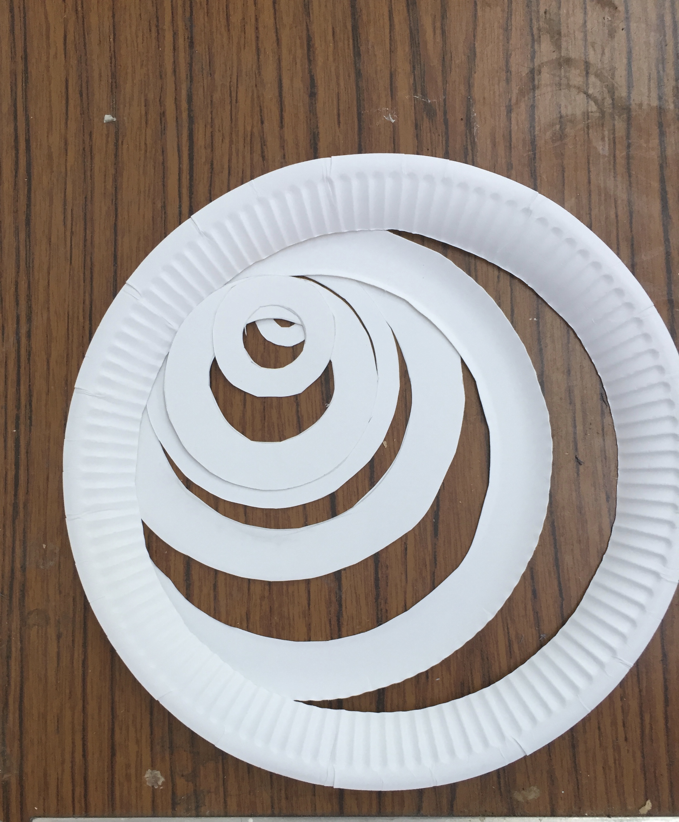 Paper Circles – Joe Shaw Artist